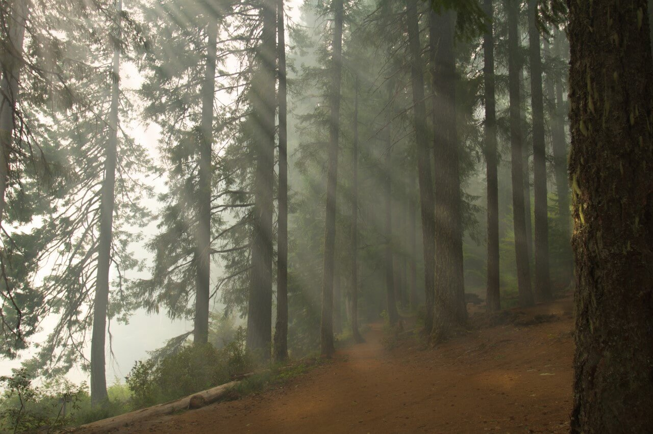 Lost Siblings Escape Forest Captor, Outwit Alleged Cannibal in Dramatic ...